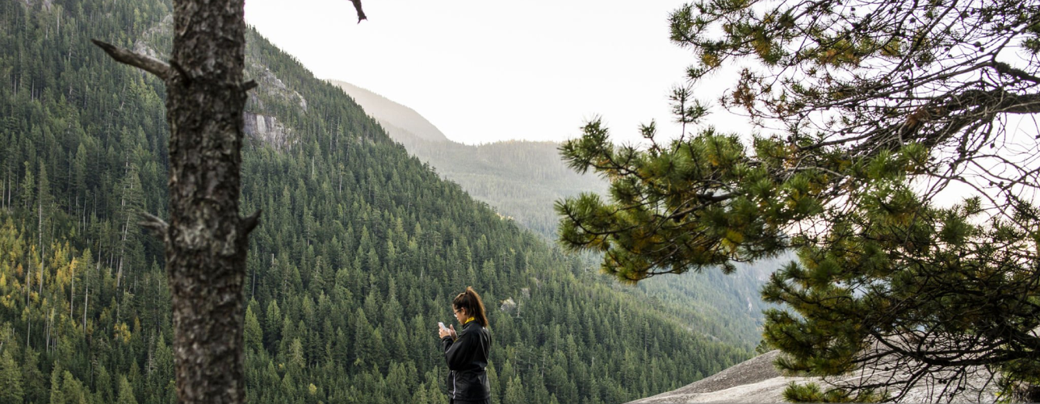 Eco Friendly Phone Cases | Biodegradable Iphone Cases – Tallpine Cases | Sustainable and Eco ...